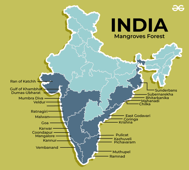 List of Mangrove Sites in India, Map with Important Facts For Exam ...