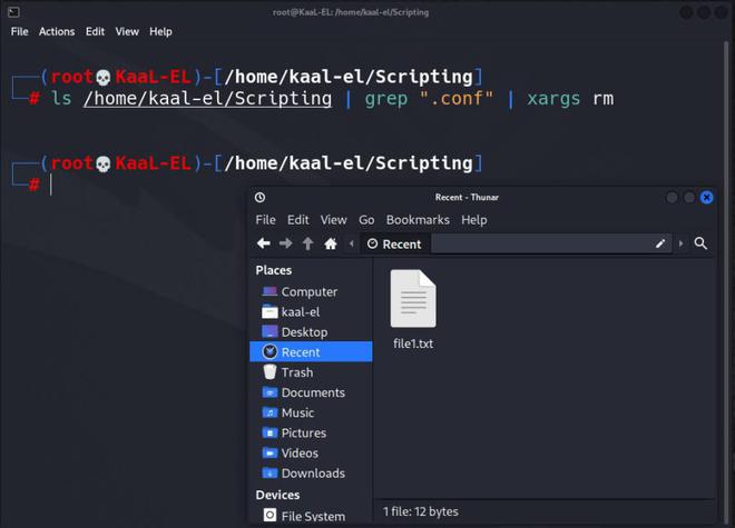 Calling shell functions with xargs - GeeksforGeeks