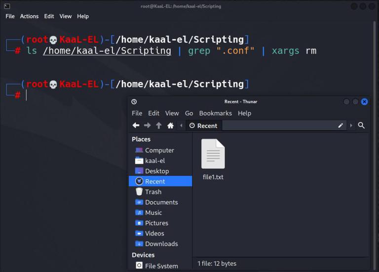 Calling shell functions with xargs - GeeksforGeeks