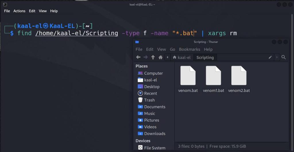 Calling shell functions with xargs - GeeksforGeeks