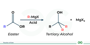 Reaction of Esters - GeeksforGeeks