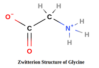 Zwitterion - GeeksforGeeks