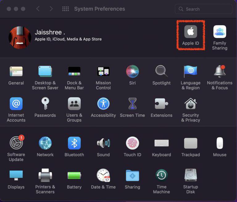 How to Change Apple ID on iPhone, iPad and Mac? - GeeksforGeeks