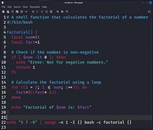 Calling shell functions with xargs - GeeksforGeeks