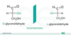 Optical Isomerism - GeeksforGeeks