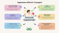Passive Transport - GeeksforGeeks
