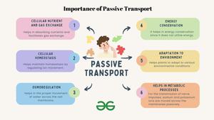 Passive Transport - GeeksforGeeks