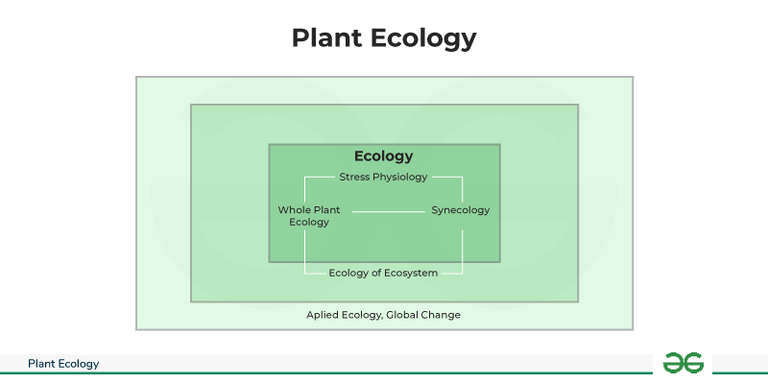 Plant Ecology Notes - GeeksforGeeks