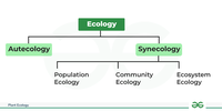 Plant Ecology Notes - GeeksforGeeks