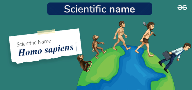 Scientific Name | GeeksforGeeks