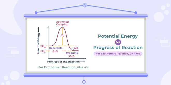Exothermic Reaction - GeeksforGeeks
