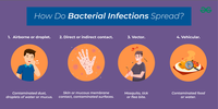 Bacterial Diseases in Humans - GeeksforGeeks