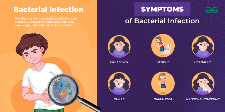 Bacterial Diseases in Humans - GeeksforGeeks