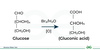 Bromine Water Test - GeeksforGeeks