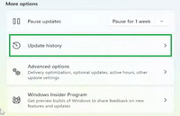 7 Methods to Fix the WHEA Uncorrectable Error on Windows 10/11 - GeeksforGeeks