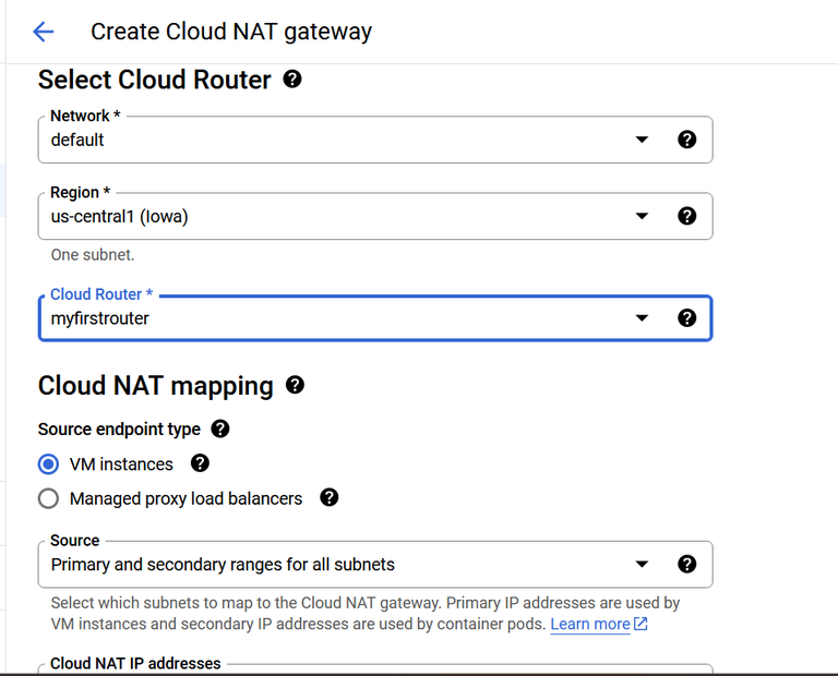 Steps By Guide To Work With Cloud NAT and Cloud Traffic Director ...