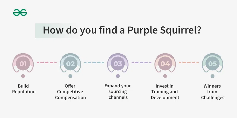 Purple Squirrel: Meaning, Benefits and Challenges - GeeksforGeeks