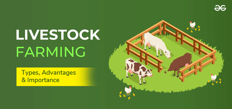 What is Livestock Farming? It's Types, Advantages and Importance ...