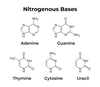 Biomolecules - Definition, Structure, Classification, Examples ...