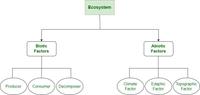 What is a Natural Ecosystem? - GeeksforGeeks