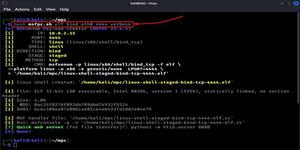 MSFvenom Payload Creator (MSFPC) – Installation And Usage in kali linux - GeeksforGeeks