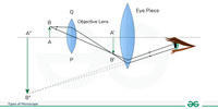Types of Microscopes - GeeksforGeeks