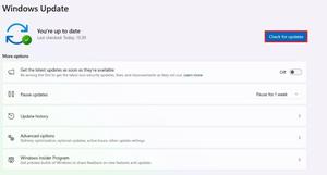 How to Check for Updates in Windows 11? - GeeksforGeeks