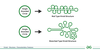 Viroids - Structure, Characteristics, Features, and Diseases ...