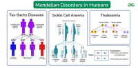 Types of Mendelian Disorders in Humans and Examples - GeeksforGeeks