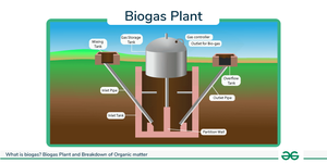 Biogas - GeeksforGeeks