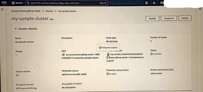 What Is Memory DB? Creating And Configuring MemoryDB Clusters ...