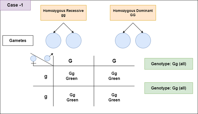 CBSE Class 12 Biology Previous Year Question Paper - 2023 - GeeksforGeeks