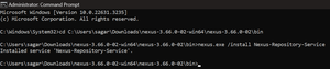 Step-By-Step Guide To Installing Nexus Repository Manager - GeeksforGeeks