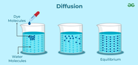 Diffusion - GeeksforGeeks