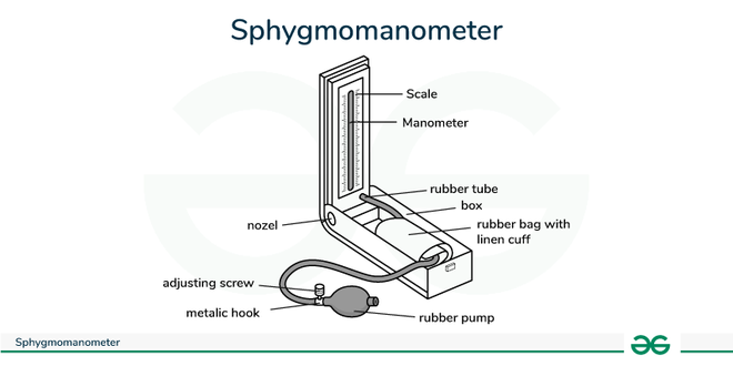 Diagram of Sphygmomanometer - GeeksforGeeks