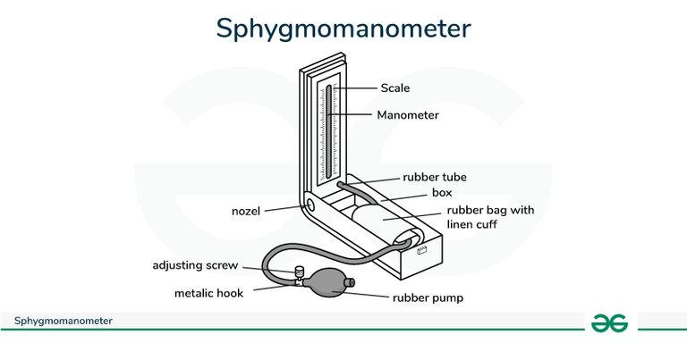 Diagram of Sphygmomanometer | GeeksforGeeks