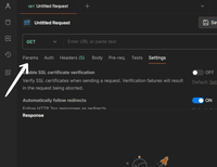 What are Request Parameters in Postman ? - GeeksforGeeks