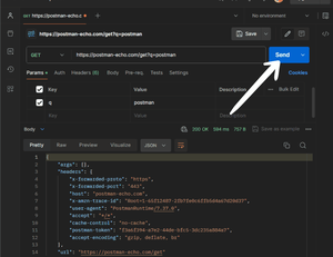 What are Request Parameters in Postman ? - GeeksforGeeks