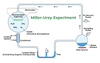 Miller Urey Experiment - GeeksforGeeks