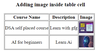 How to Add Image inside Table Cell in HTML ? - GeeksforGeeks