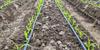 Modern Methods of Irrigation - GeeksforGeeks