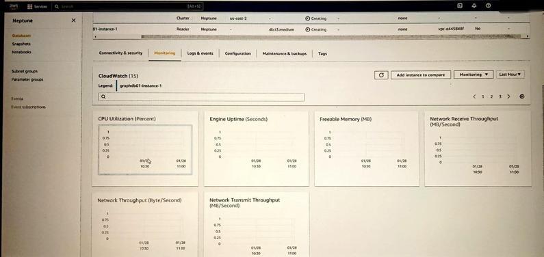 What Is Amazon Neptune? Setting Amazon Neptune - GeeksforGeeks