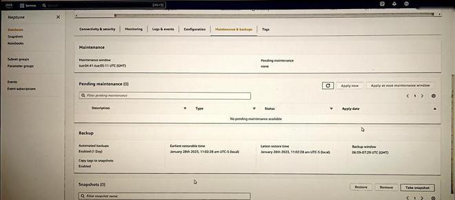 What Is Amazon Neptune? Setting Amazon Neptune - GeeksforGeeks