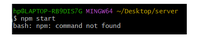 How To Resolve npm Command Not Found Error in NodeJS - GeeksforGeeks
