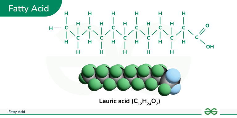 Overview on Fatty Acids - GeeksforGeeks