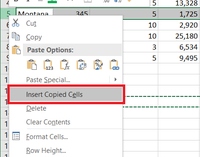 How to Insert Multiple Rows in Excel: 4 Easy Methods - GeeksforGeeks