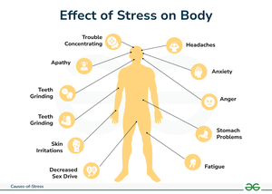 Causes of Stress - GeeksforGeeks
