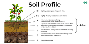 Soil Profile Diagram - GeeksforGeeks