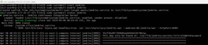 How to Build Python Application Using Jenkins ? - GeeksforGeeks