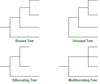 Phylogenetic Tree | Construction and Overview - GeeksforGeeks